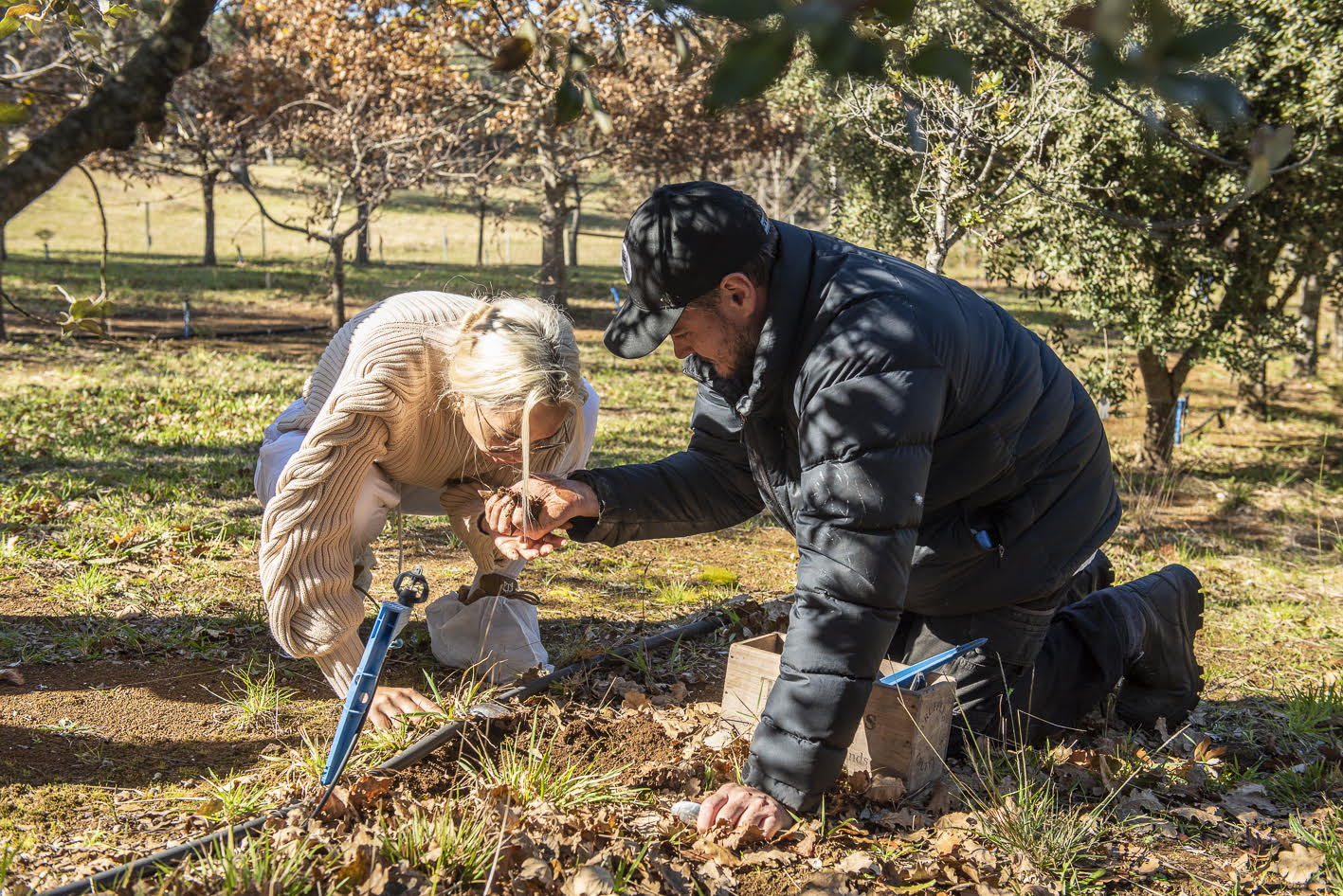 Must do: Truffle hunting in the Southern Highlands - Wayfarer