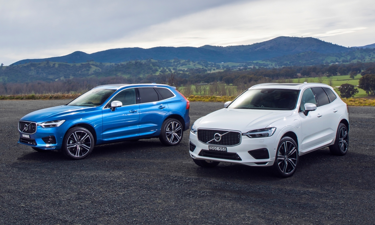 On the rise: Volvo's popularity continues to soar in Australia as car ...