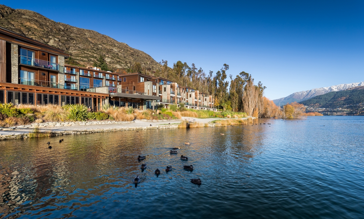 Wayfarer exclusive: inside the stylish Hilton Queenstown Resort and Spa ...