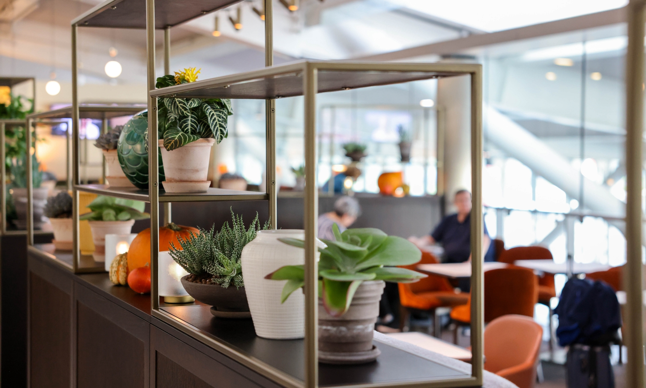 British Airways unveils stunning, new-look Heathrow Terminal 5 B gates ...